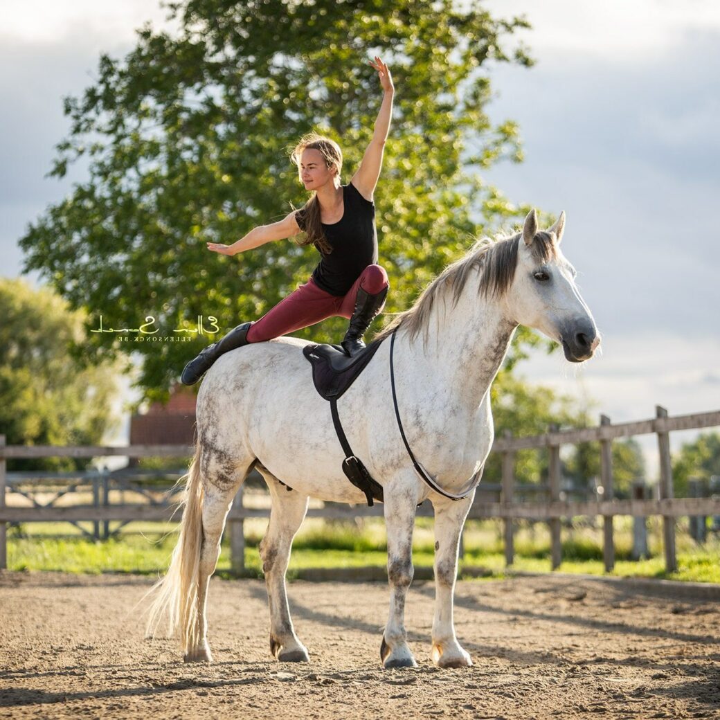 ThinLine Comfort Bareback Saddle Pad | 95% Shock Absorbing | Shop