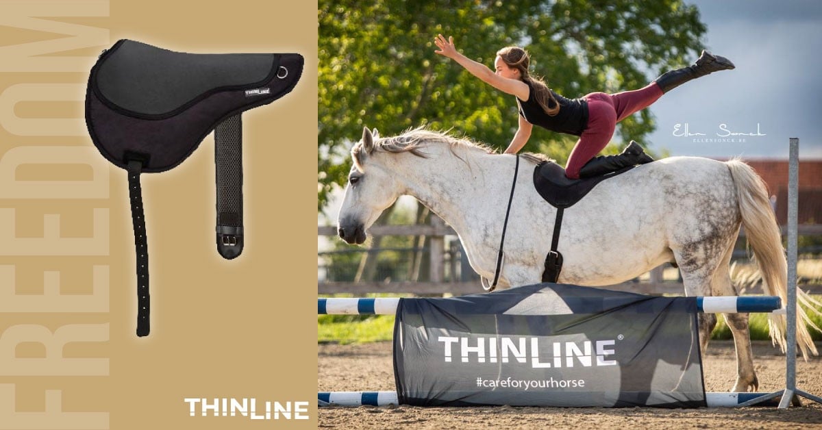 ThinLine Comfort Bareback Saddle Pad | 95% Shock Absorbing | Shop