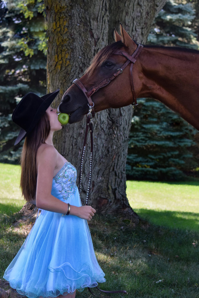 Bitless Noseband Bridle Converter - most comfortable noseband out there!